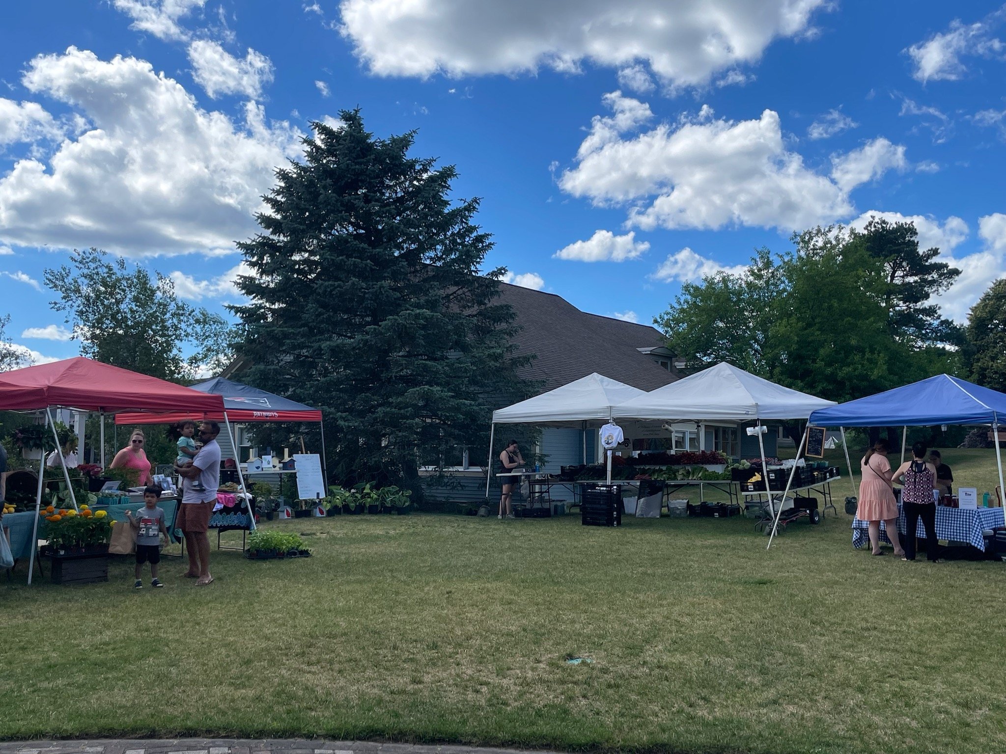 Norfolk MA Farmers Market