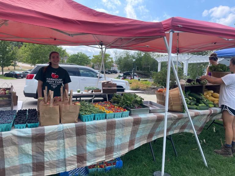 Norfolk MA Farmers Market