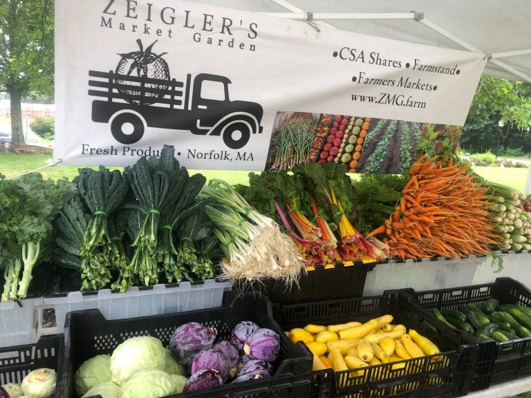Norfolk MA Farmers Market